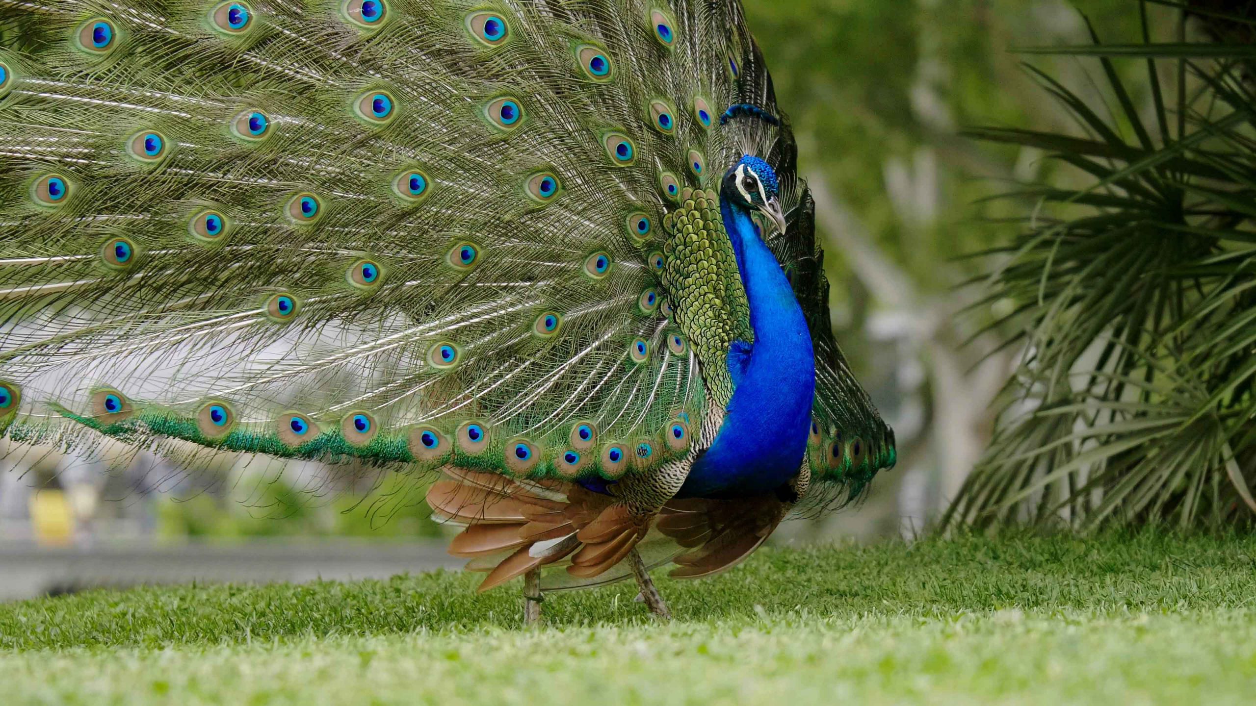 Full-service communicatiebureau Haarlem | La Plume Media